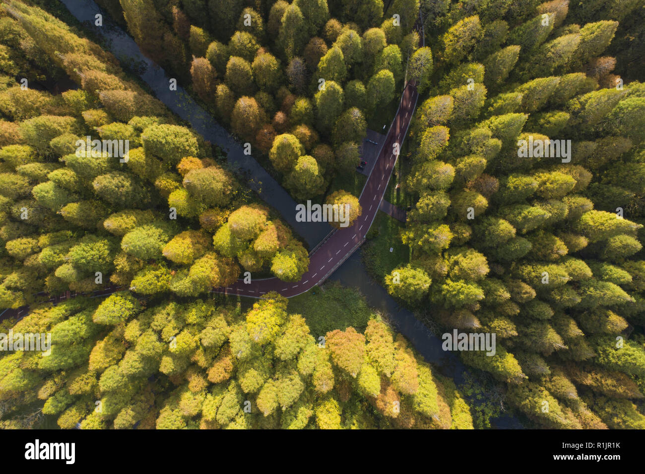 Dongtai, Dongtai, China. 13th Nov, 2018. Dongtai, CHINA-Aerial ...