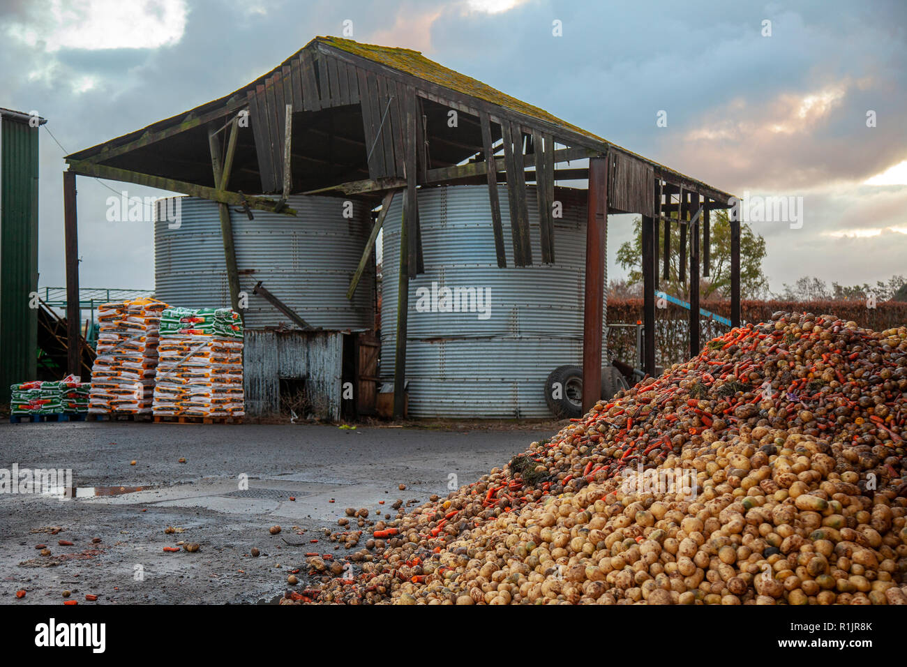 Vast heaps of rejected carrots and potatoes which do not meet the ...
