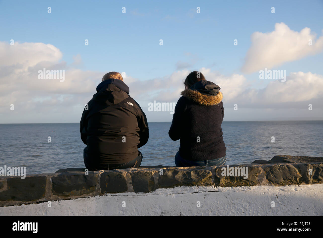 Dolphins watching wales hi-res stock photography and images - Alamy