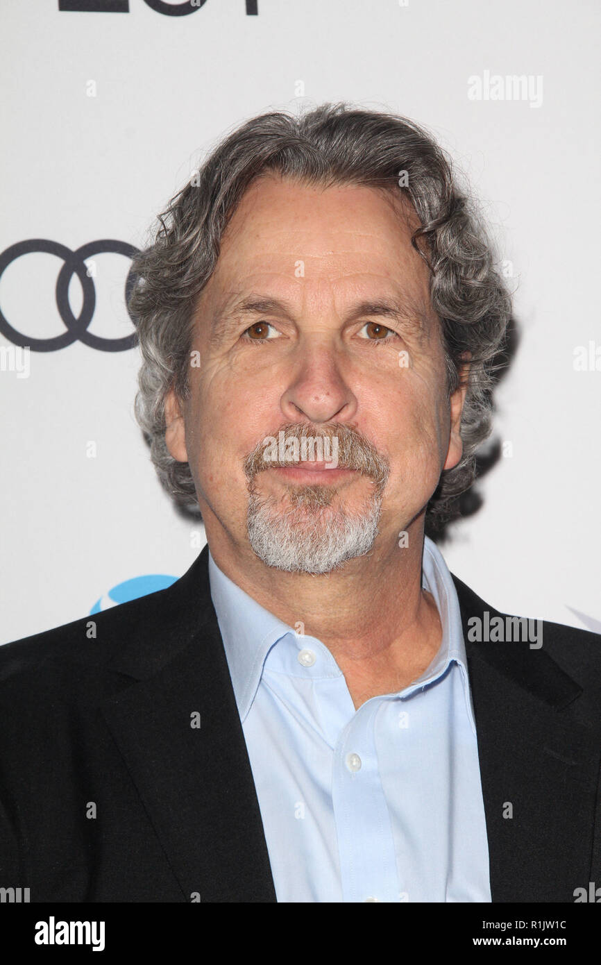 Peter Farrelly 11/09/2018 AFI Fest 2018 Gala Screening of "Green Book ...