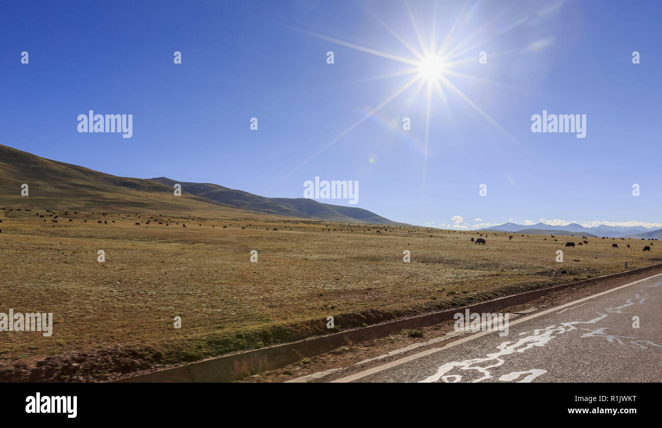 Tibet, Tibet, China. 13th Nov, 2018. Tibet, CHINA-Stunning scenery of ...