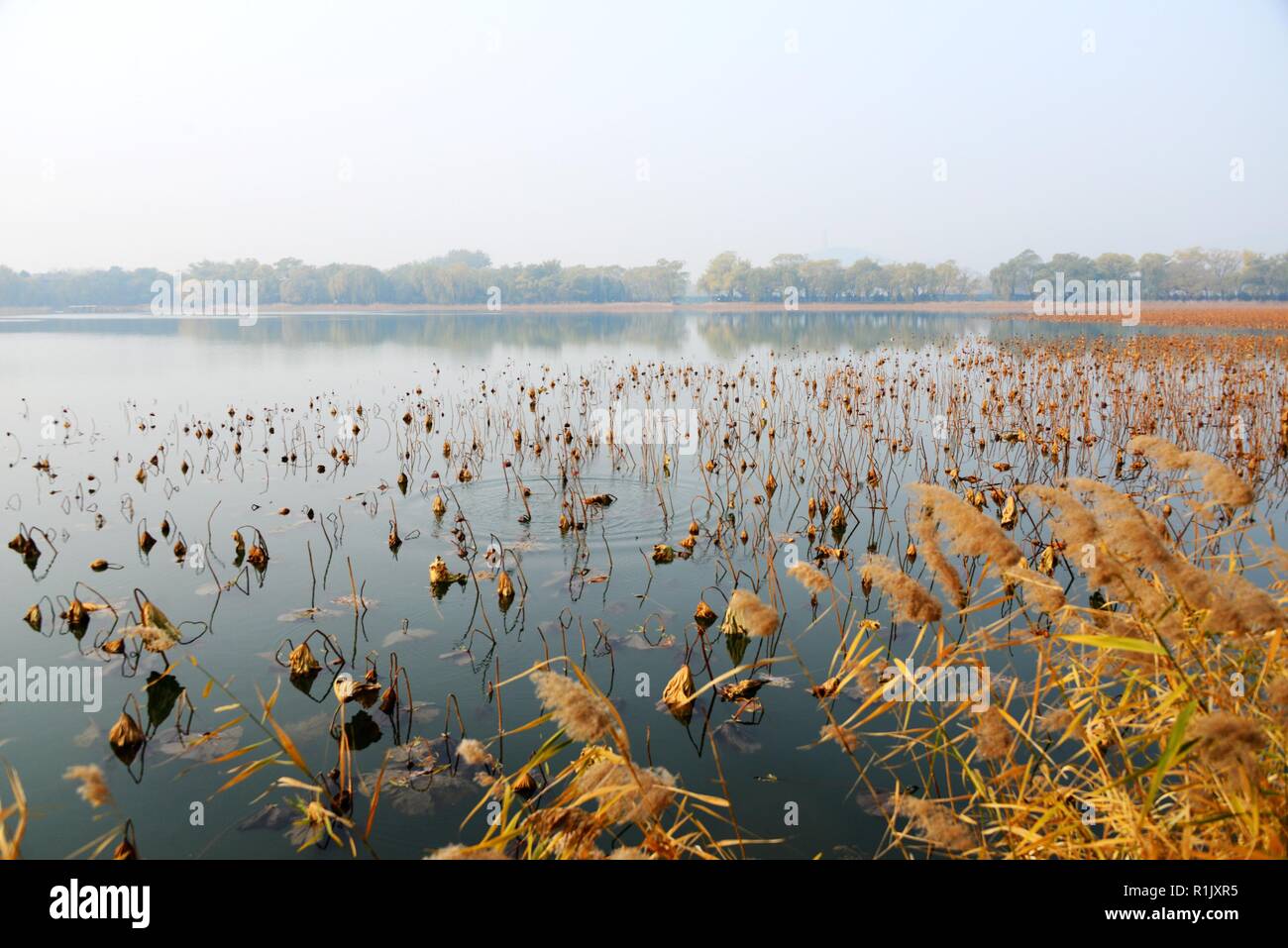 Beijin smog hi-res stock photography and images - Alamy