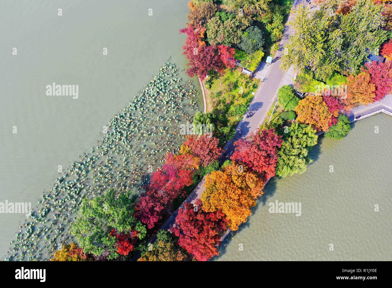 Nanjing, Nanjing, China. 13th Nov, 2018. Nanjing, CHINA-Aerial ...