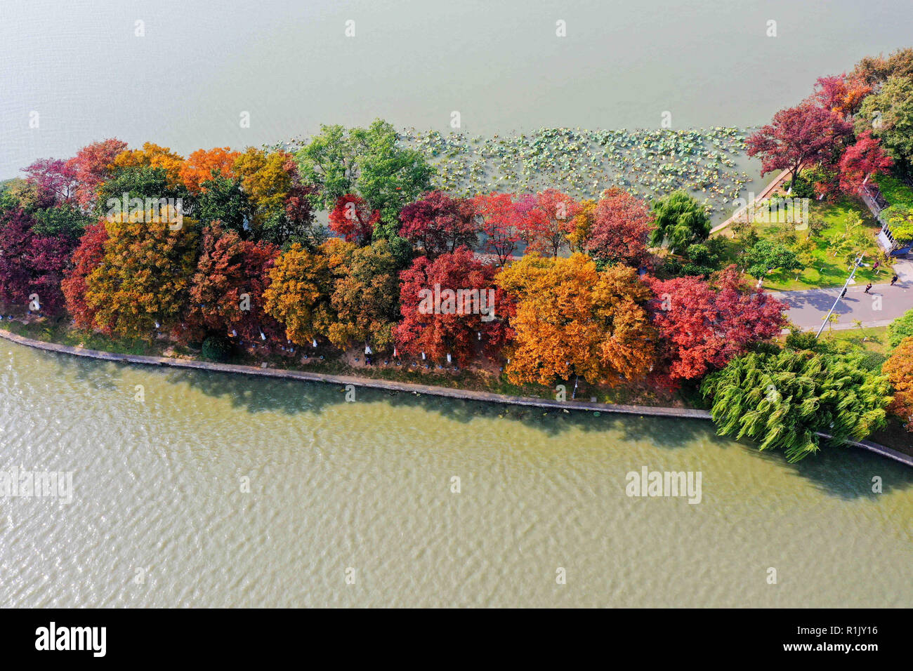 Nanjing, Nanjing, China. 13th Nov, 2018. Nanjing, CHINA-Aerial ...