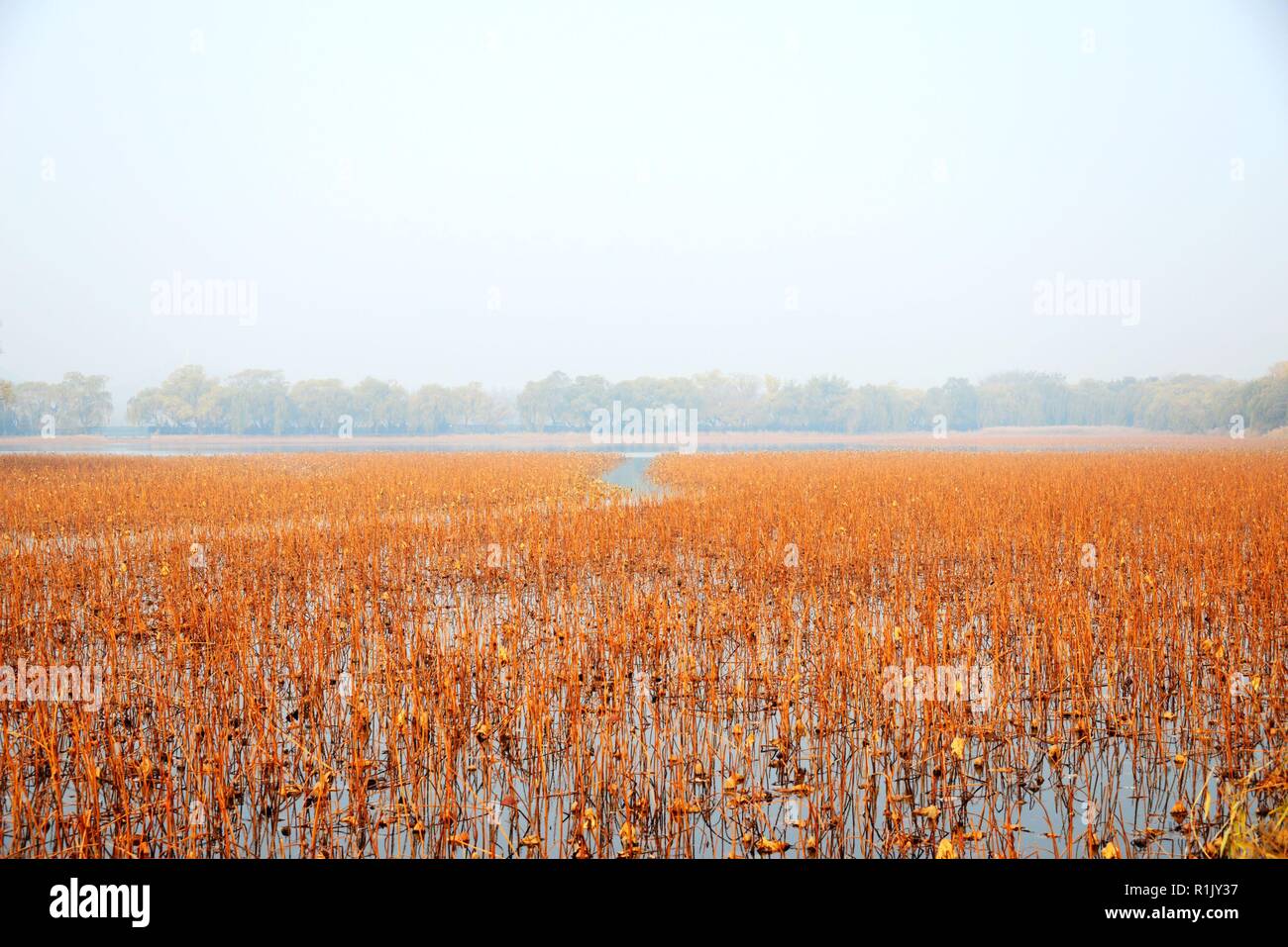 Beijin smog hi-res stock photography and images - Alamy