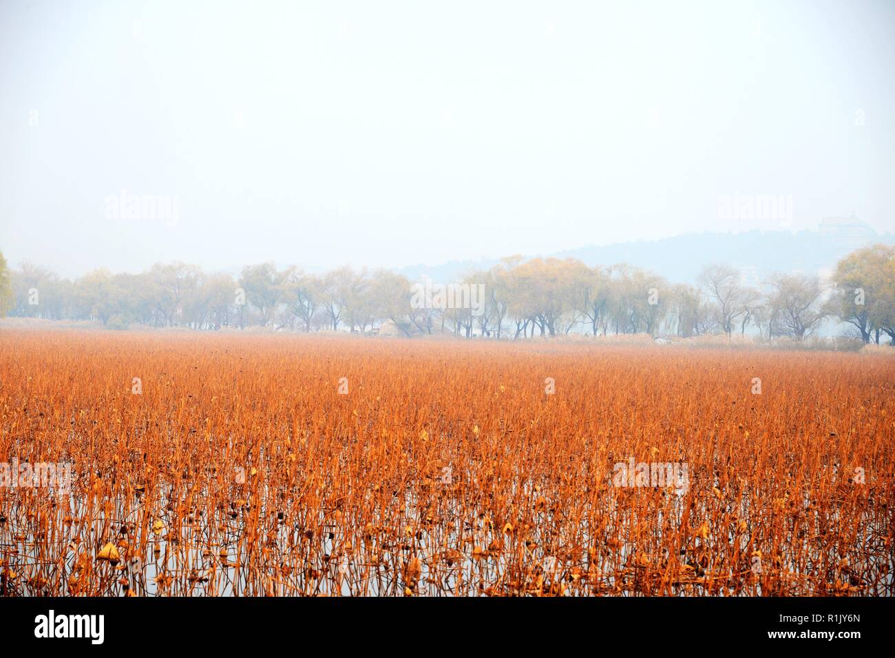 Beijin smog hi-res stock photography and images - Alamy