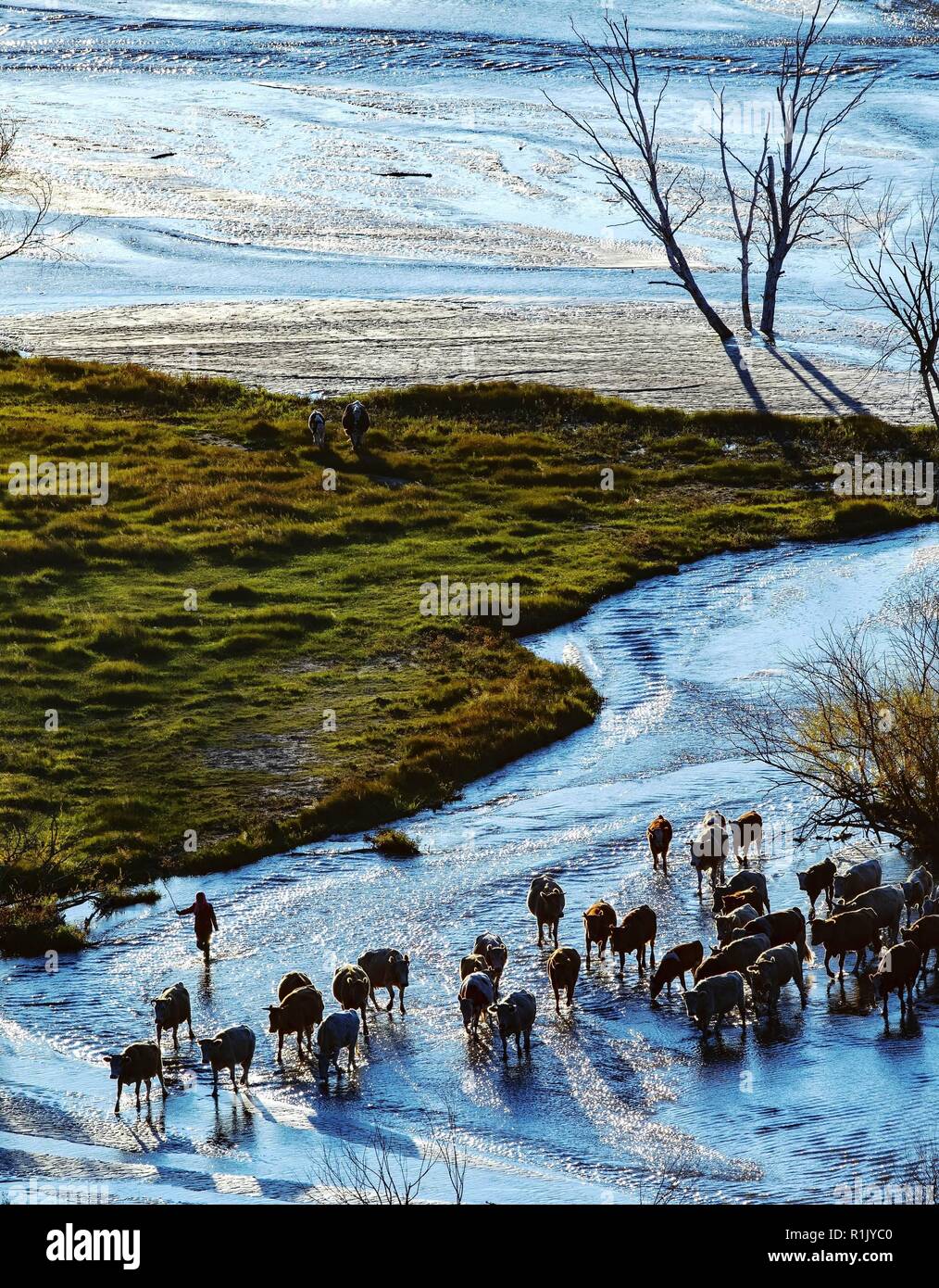 Inner Mongolia, Inner Mongolia, China. 13th Nov, 2018. Inner Mongolia ...