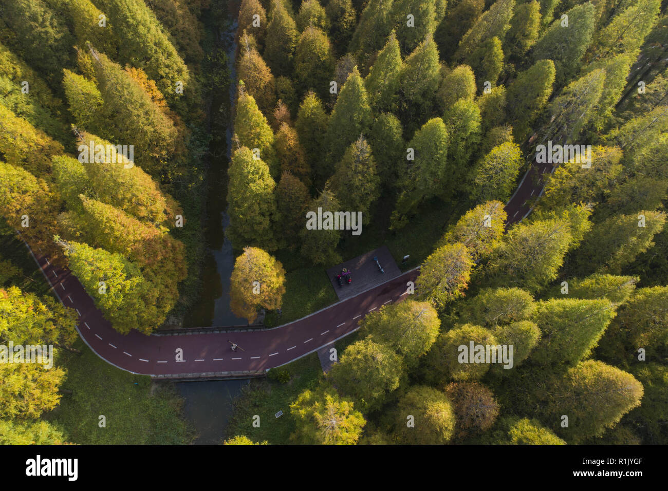 Dongtai, Dongtai, China. 13th Nov, 2018. Dongtai, CHINA-Aerial ...