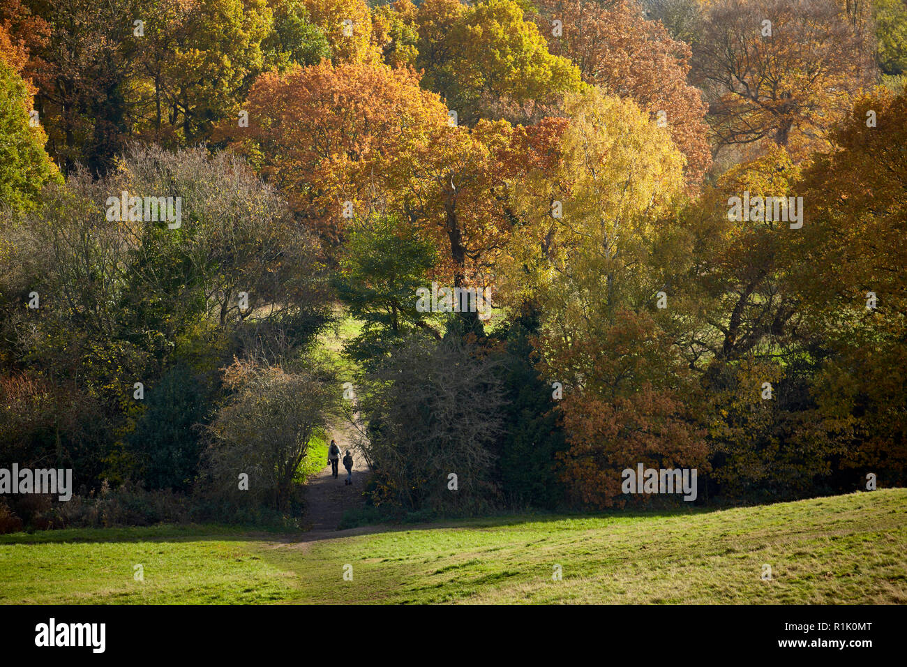 UK Weather: A beautiful autumn day in Hampstead Heath, North London ...
