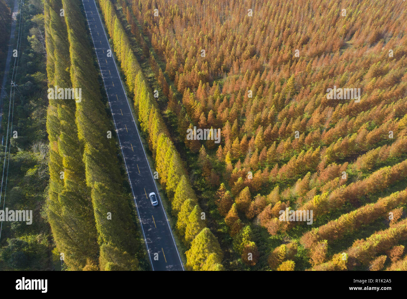 Dongtai, China. 13th Nov, 2018. Aerial photography of Yellow Sea ...