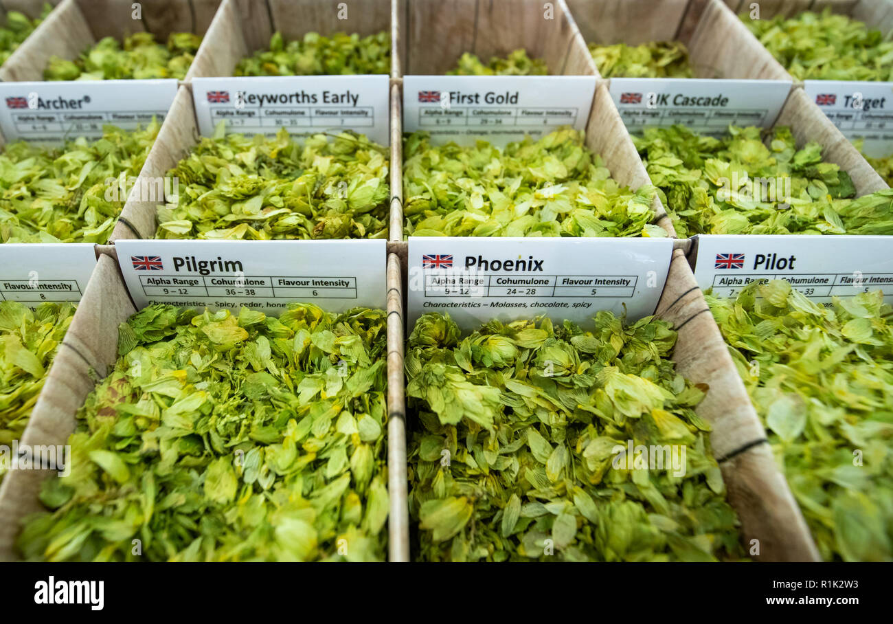 13 November 2018, Bavaria, Nürnberg: Different varieties of British ...