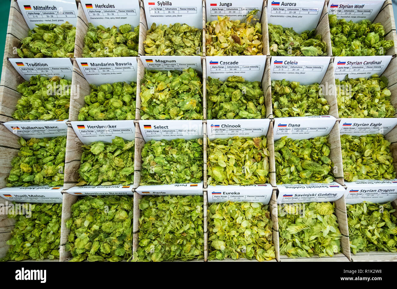 Hops varieties hi-res stock photography and images - Alamy