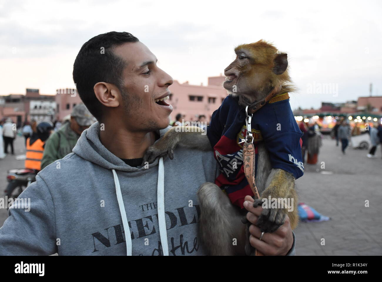 Marrakech, Morocco. 13th Nov, 2018. A juggler performs with a monkey on ...
