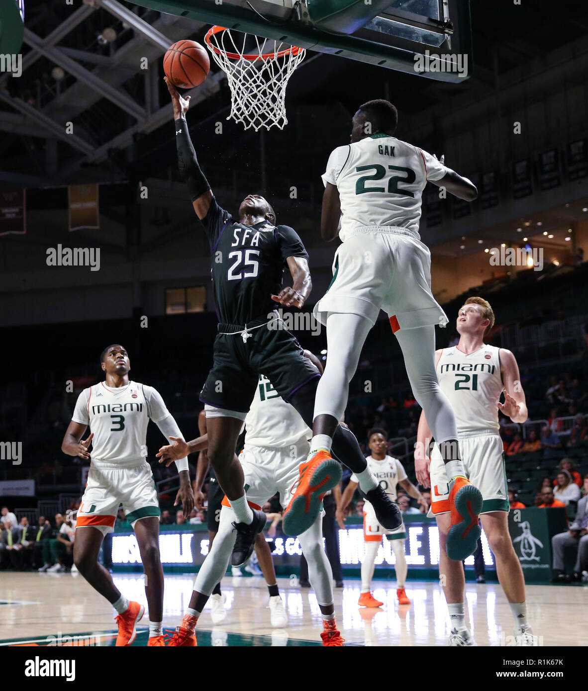 Coral Gables, Florida, USA. 13th Nov, 2018. Stephen F. Austin ...