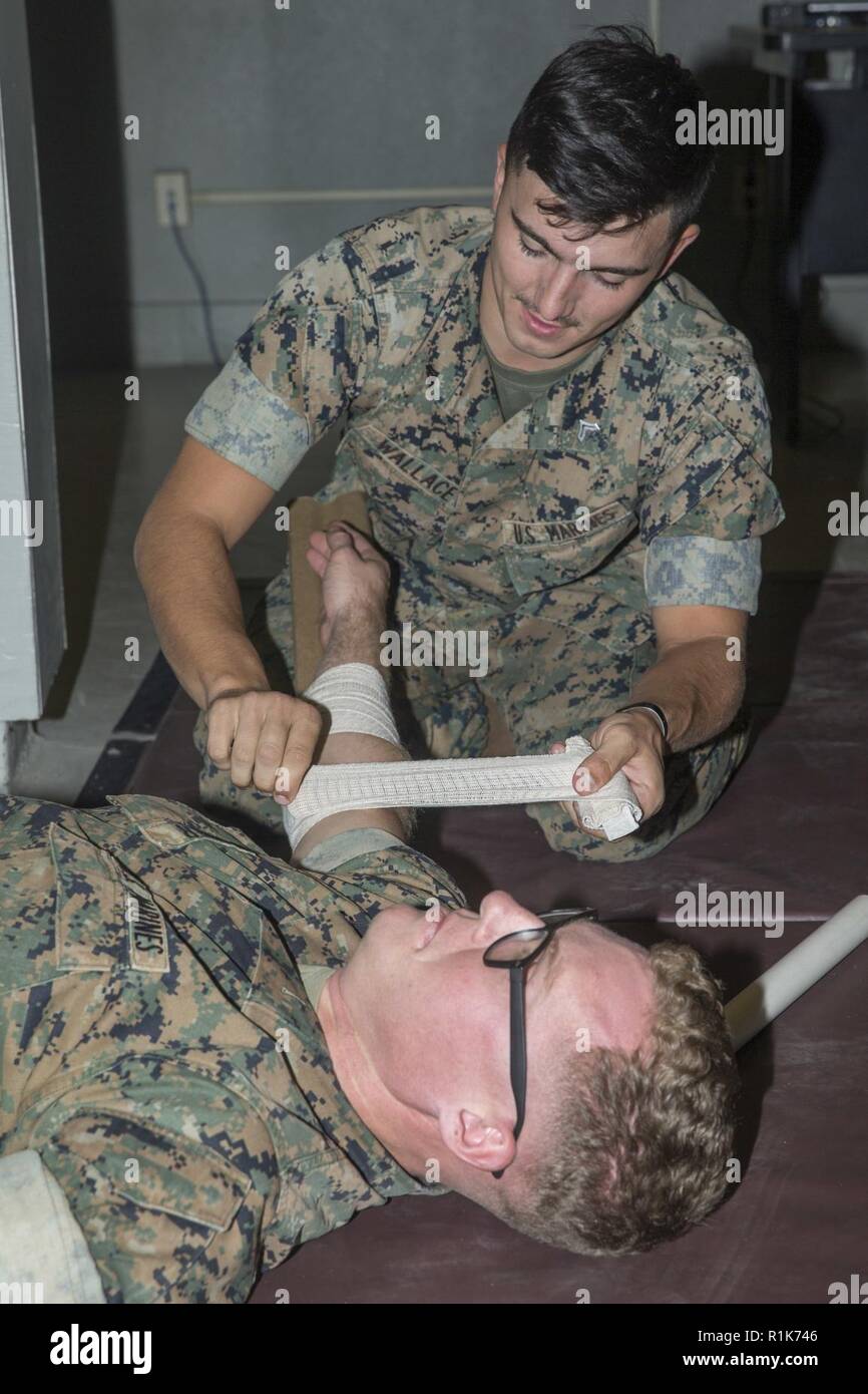 U.S. Marine Corps Cpl. Joseph Wallace, security guard with the Provost ...