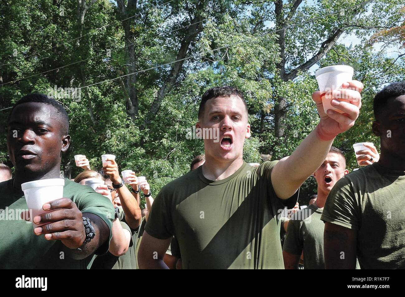 Steinehagen hi-res stock photography and images - Alamy