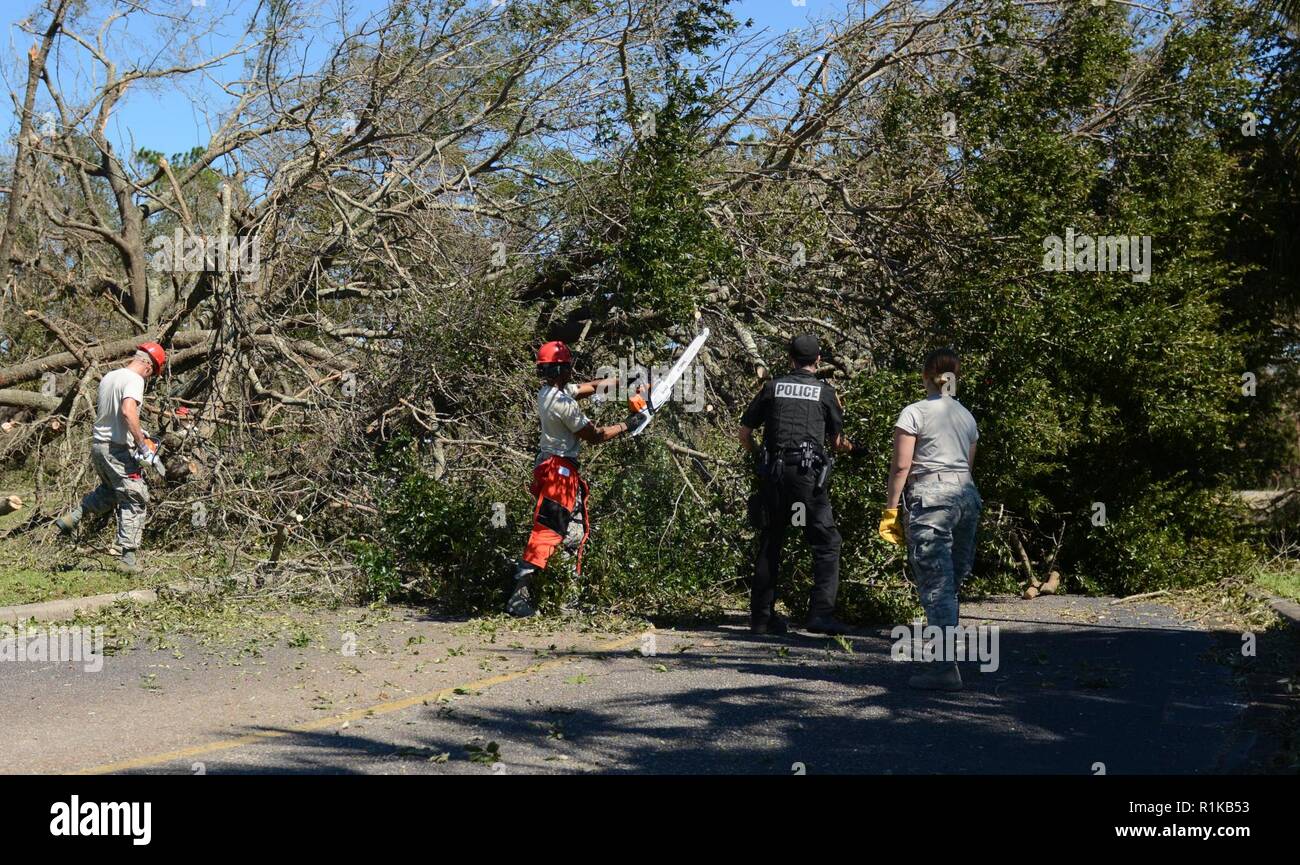 Florida Guardsmen from the 202nd REDHORSE use chainsaws and teamwork to ...