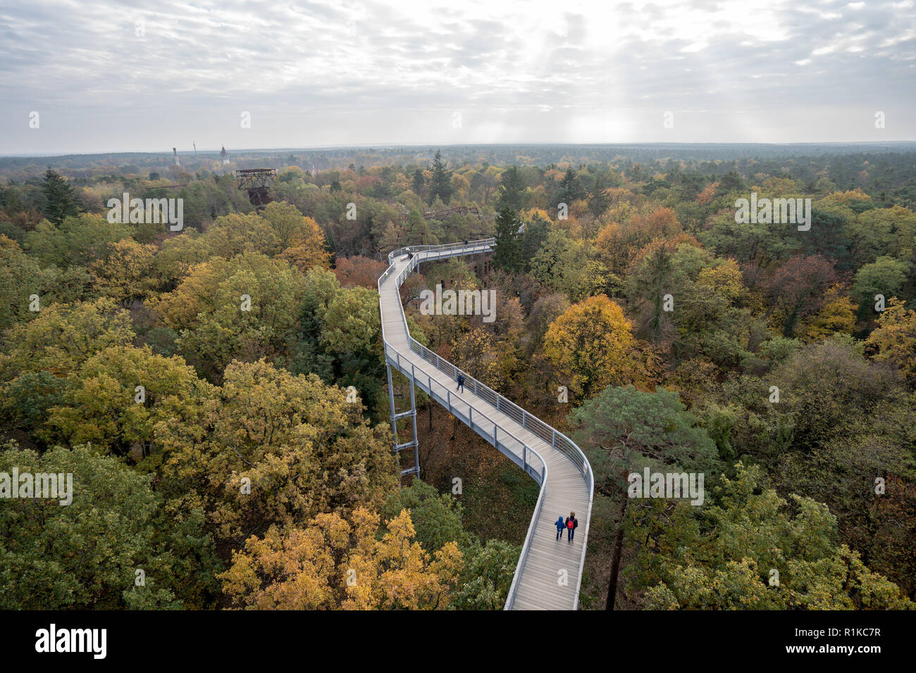 Treetop path deciduous forest hi-res stock photography and images - Alamy