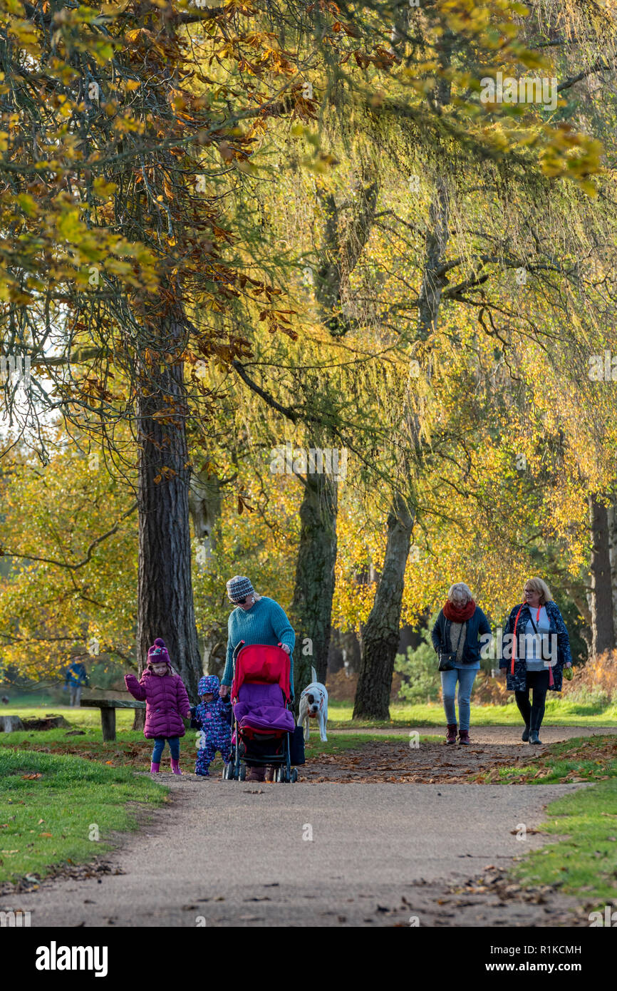 On the royal sandringham estate in norfolk hi-res stock photography and ...