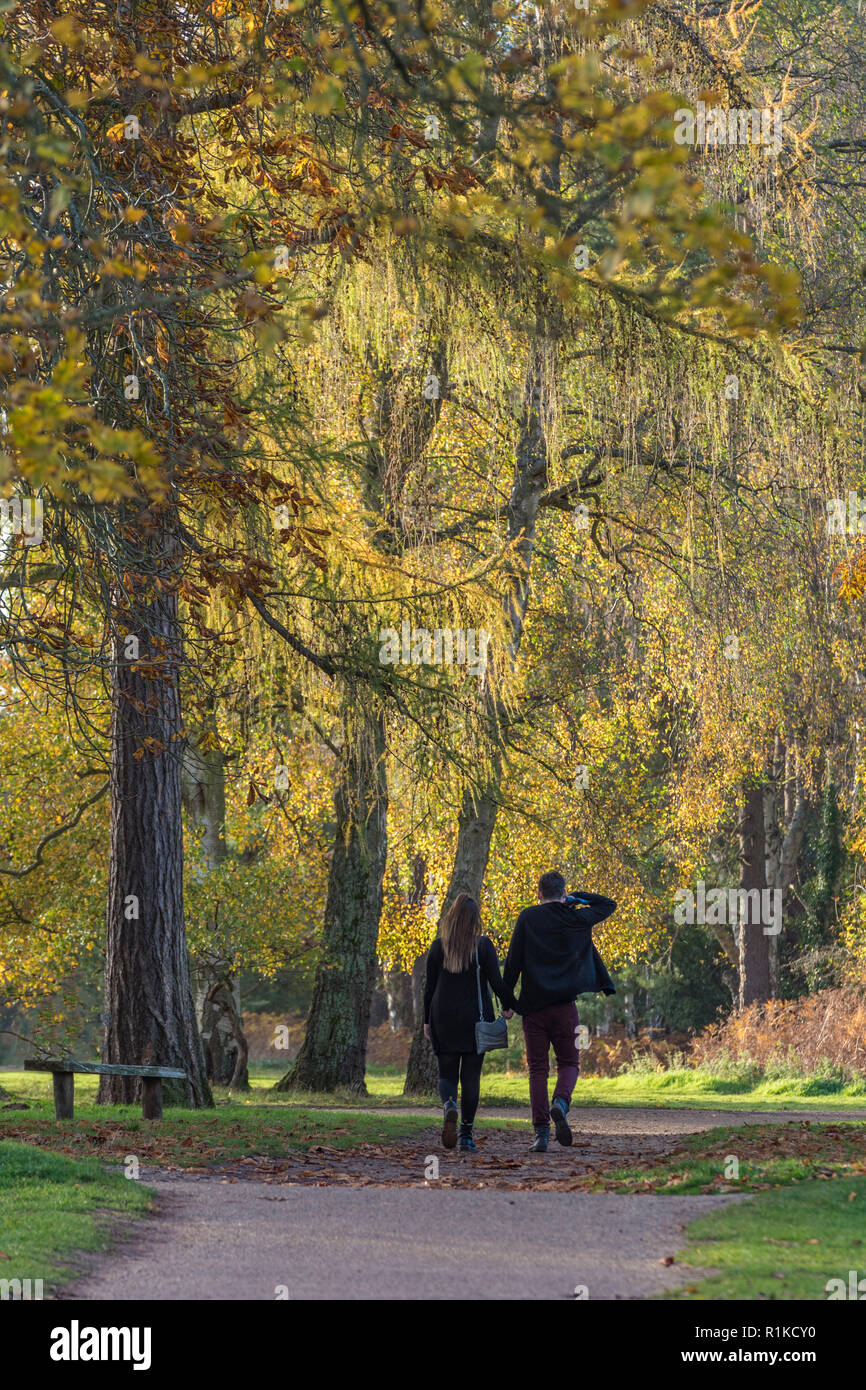a young couple or lovers taking a romantic walk among the autumn trees ...