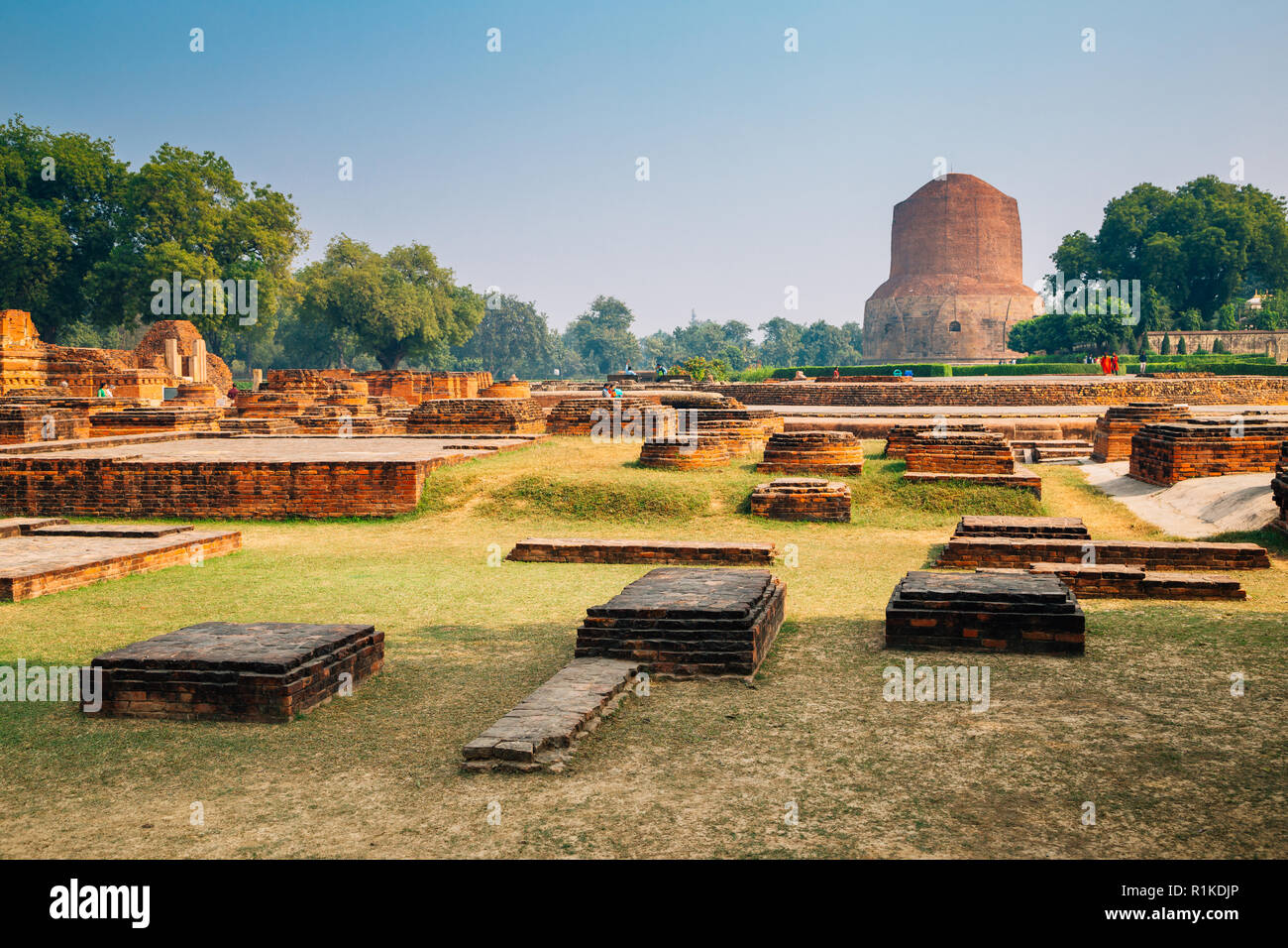 Dhamekh Stupa Sarnath ancient ruins in Varanasi, India Stock Photo - Alamy