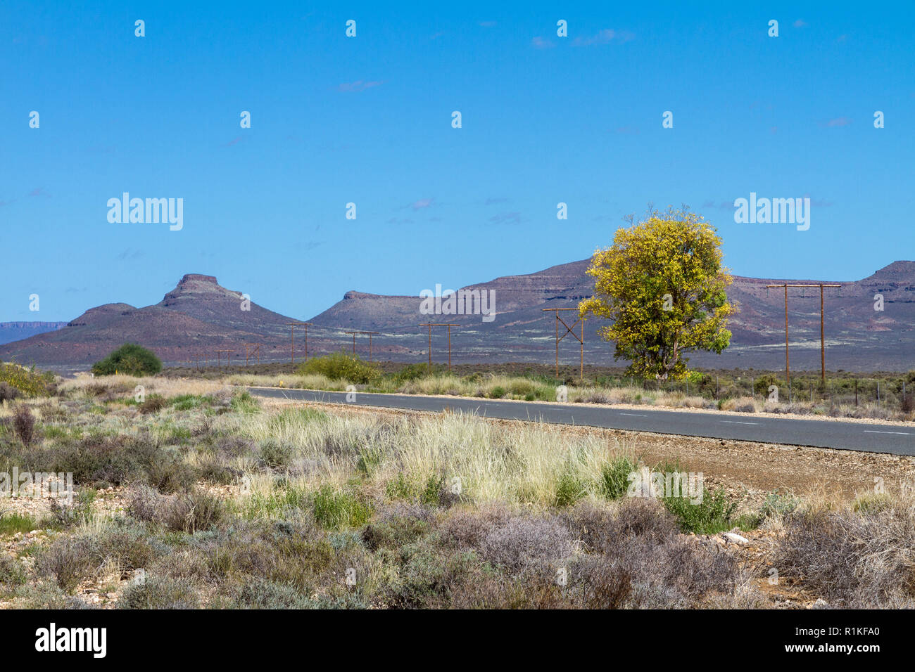 The Karoo, a arid semi desert area in South Africa Stock Photo - Alamy
