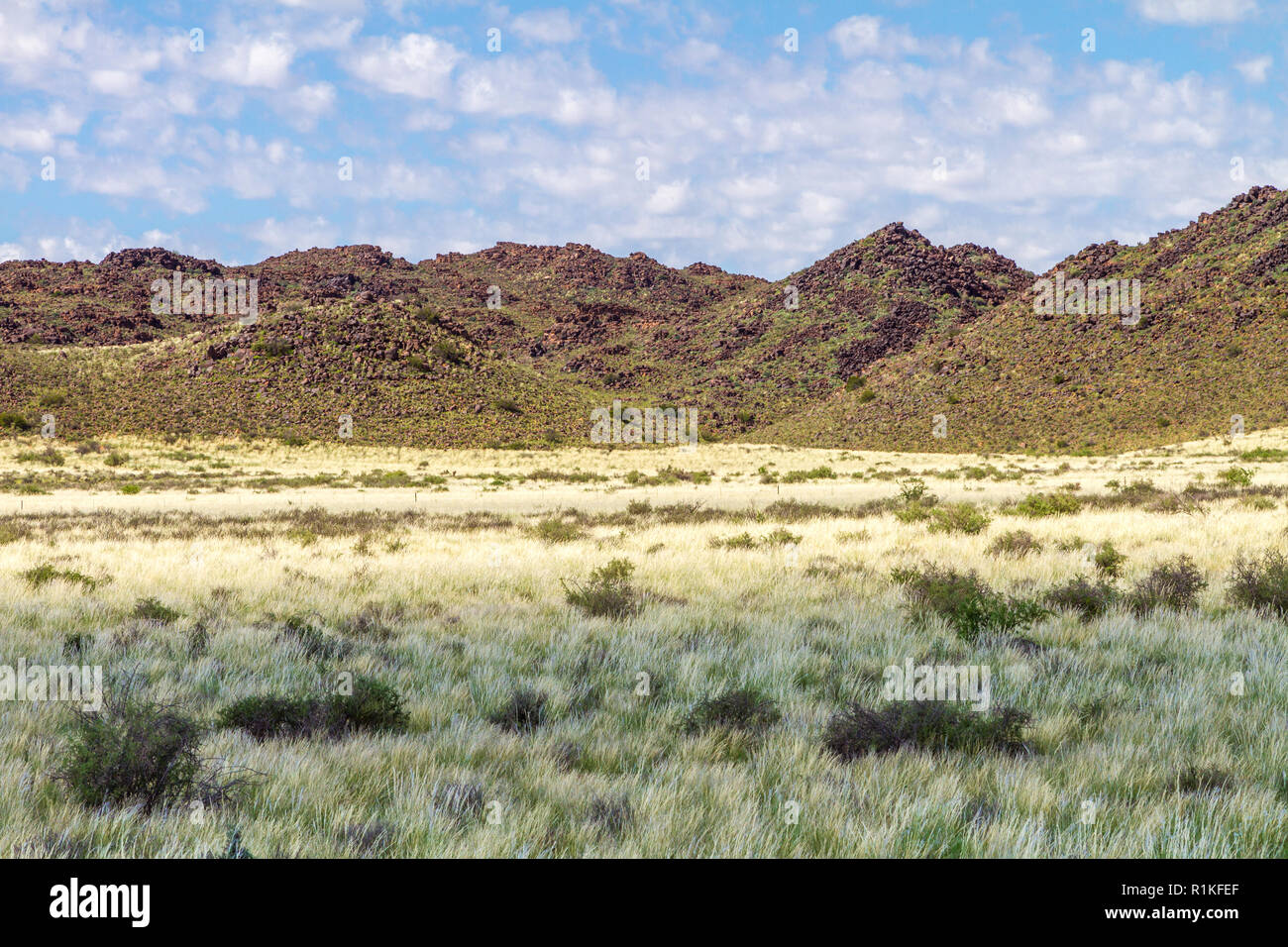 The Karoo, a arid semi desert area in South Africa Stock Photo - Alamy