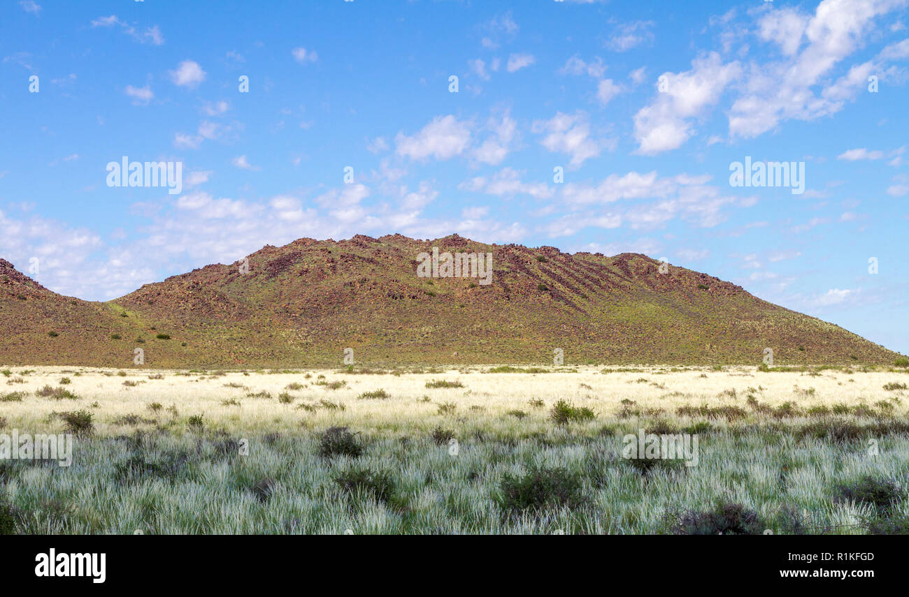 The Karoo, a arid semi desert area in South Africa Stock Photo - Alamy