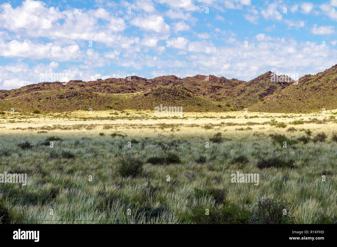 The Karoo, a arid semi desert area in South Africa Stock Photo - Alamy