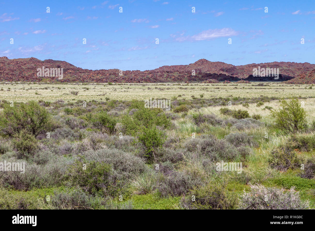 The Karoo, a arid semi desert area in South Africa Stock Photo - Alamy