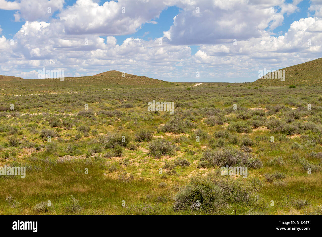 The Karoo, a arid semi desert area in South Africa Stock Photo - Alamy