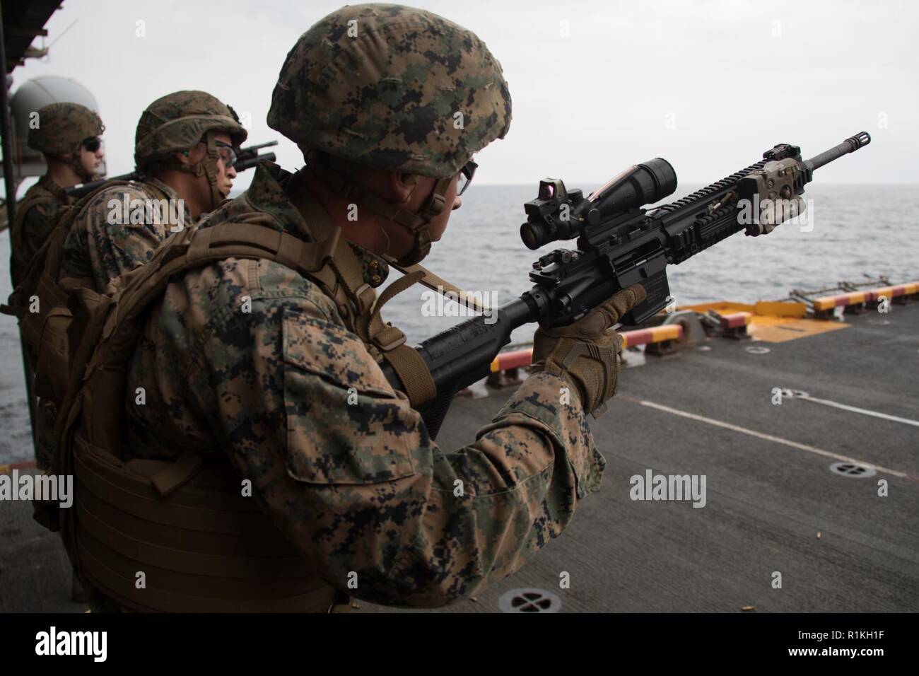 Utah native wasp hi-res stock photography and images - Alamy