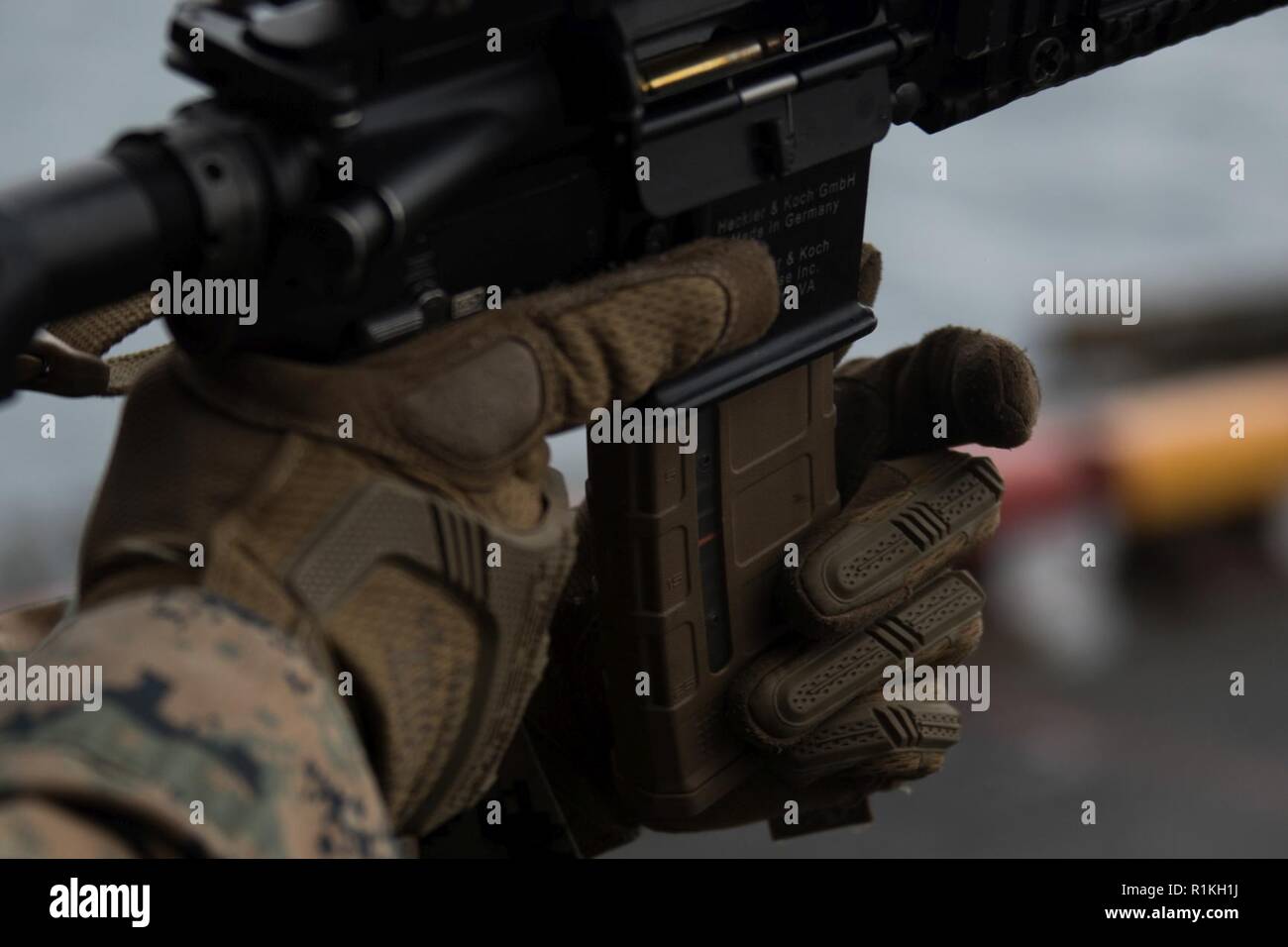 Utah native wasp hi-res stock photography and images - Alamy