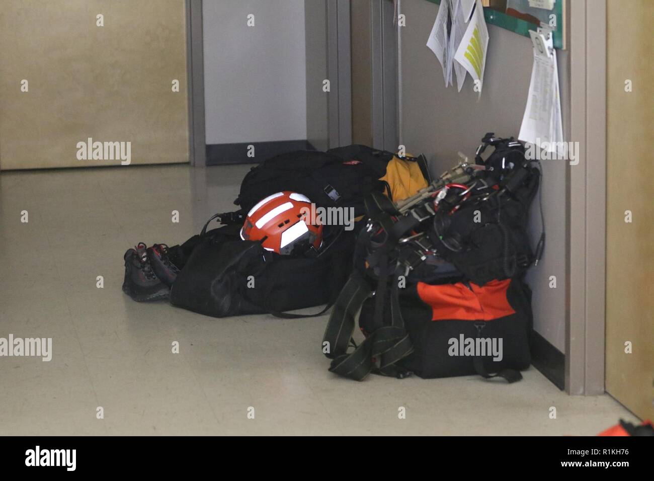 Texas National Guardsmen and Texas Task Force 1 emergency first ...