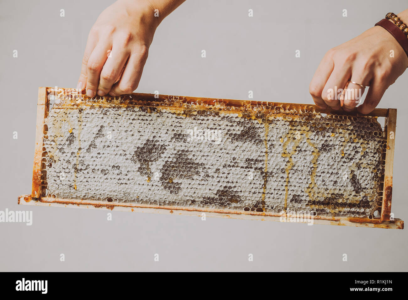 Holding a frame of honeycomb. Honeycombs in a wooden frame with full ...