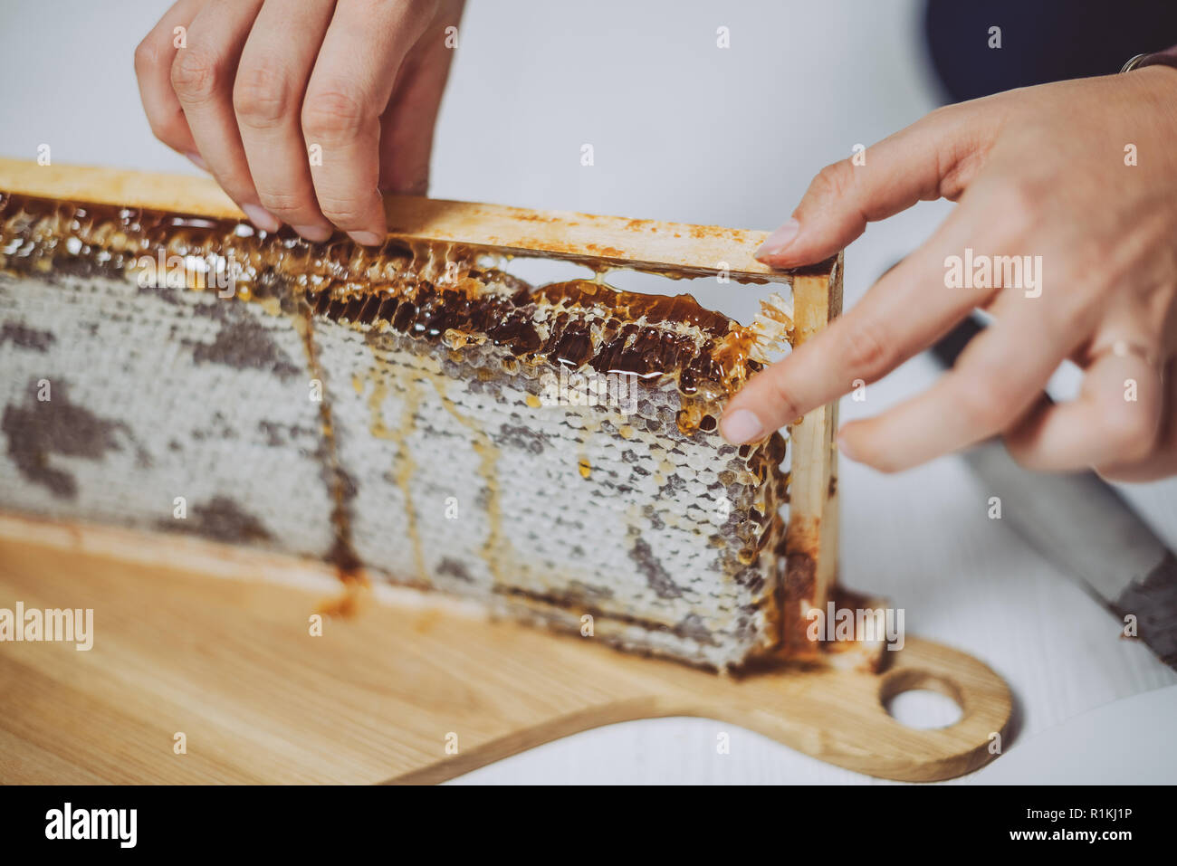 Holding a frame of honeycomb. Honeycombs in a wooden frame with full ...
