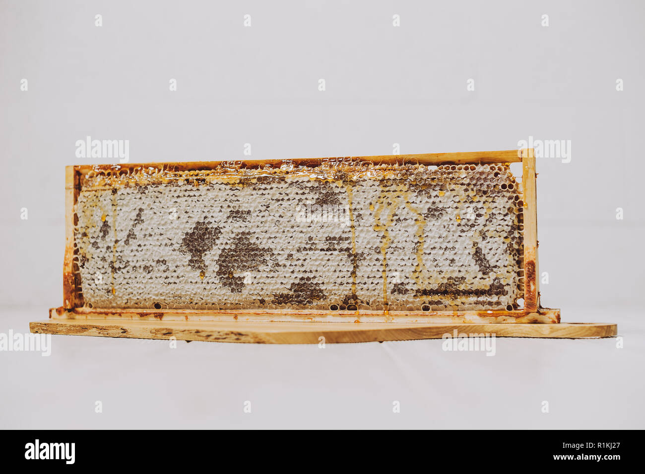Frame of honeycomb. Honeycombs in a wooden frame with full cells of ...
