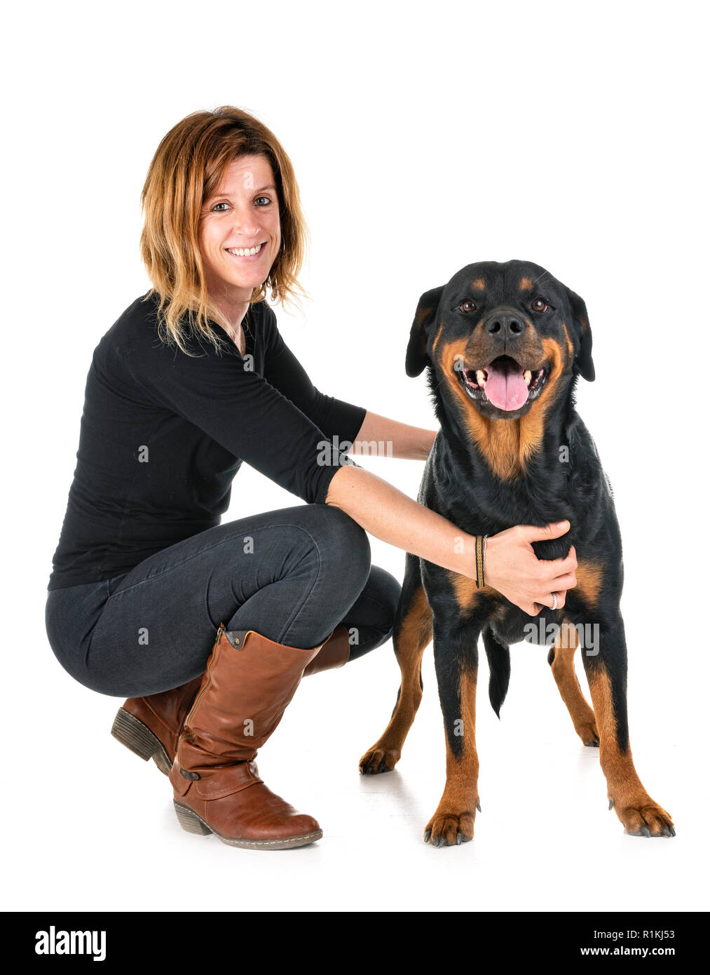 purebred rottweiler and woman in front of white background Stock Photo ...
