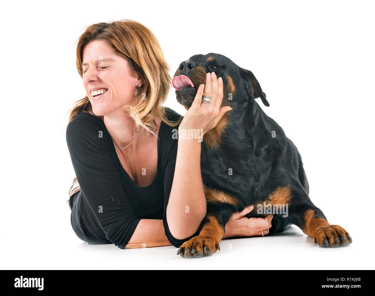 purebred rottweiler and woman in front of white background Stock Photo ...