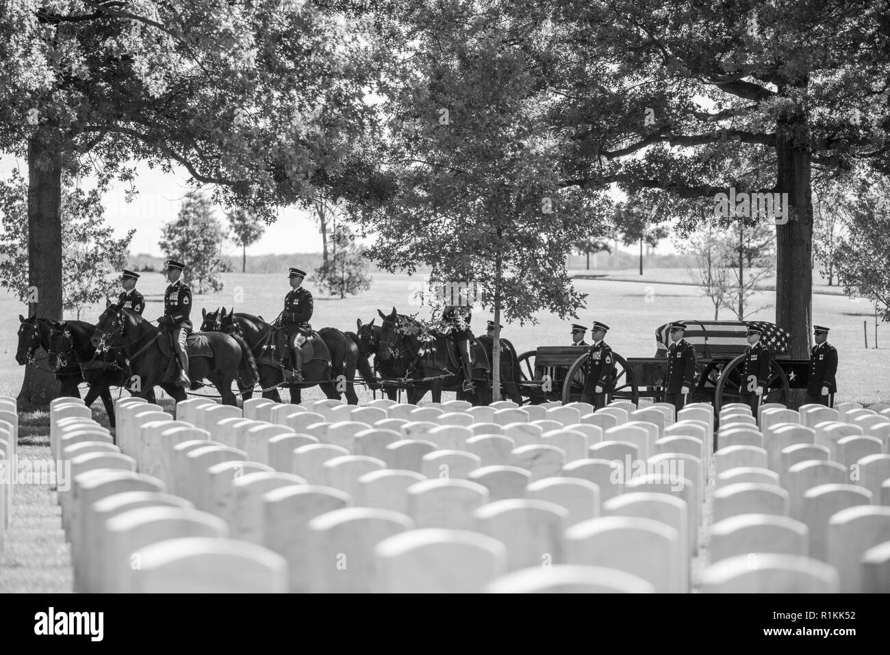 The 3d U.S. Infantry Regiment (Old Guard) Caisson Platoon conduct ...