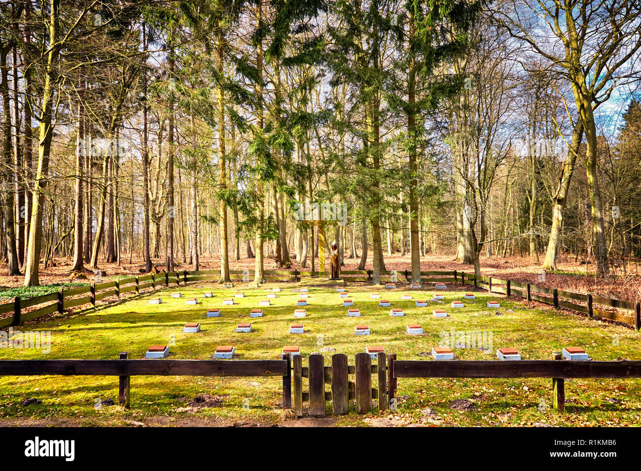 German forest military cemetery hi-res stock photography and images - Alamy