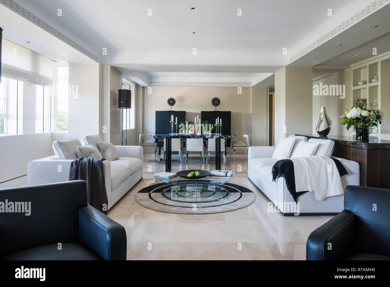 Monochrome modern living room Stock Photo - Alamy
