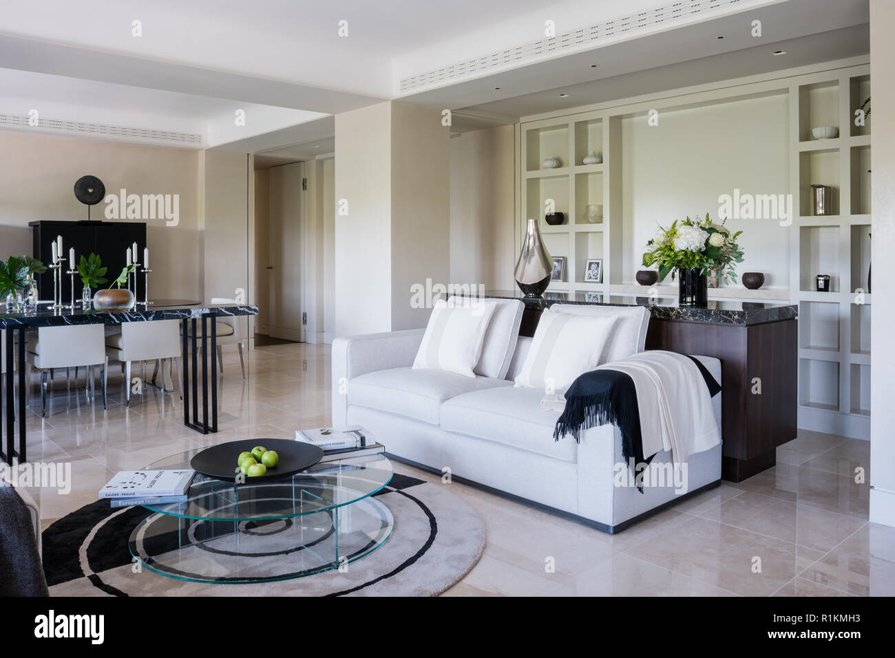 Monochrome modern living room Stock Photo - Alamy