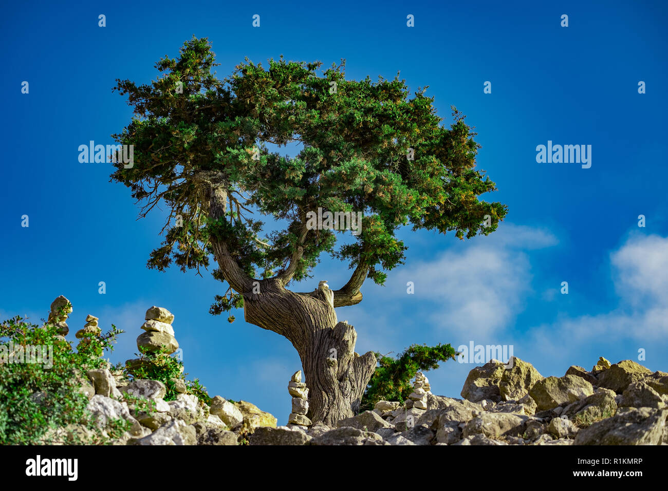 Sanctuary of poseidon poros hi-res stock photography and images - Alamy