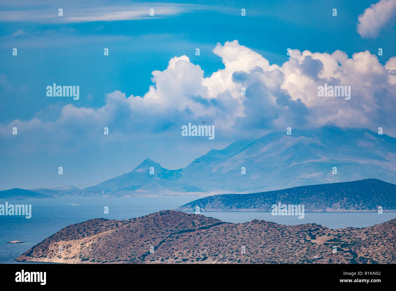 Bird flying over the sea against the backdrop of the mountains in ...