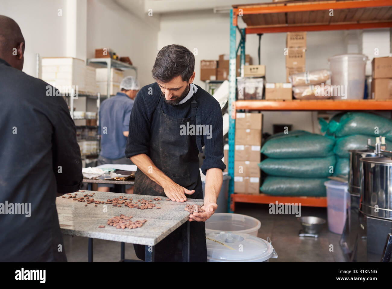 Workers sorting cocoa beans in an artisanal chocolate making factory ...