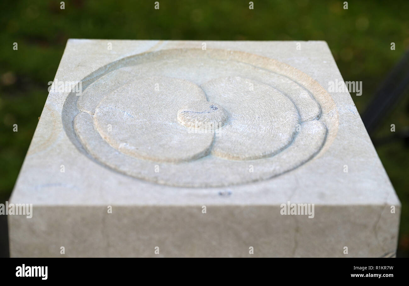 Centre of a poppy hi-res stock photography and images - Alamy