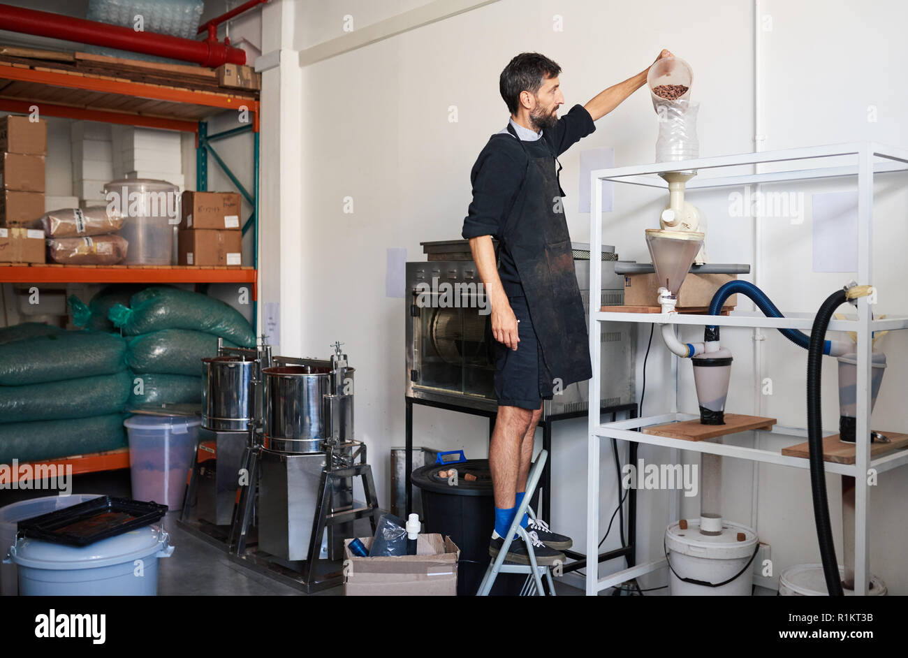 Chocolate making factory worker pouring cocoa beans into a machine ...