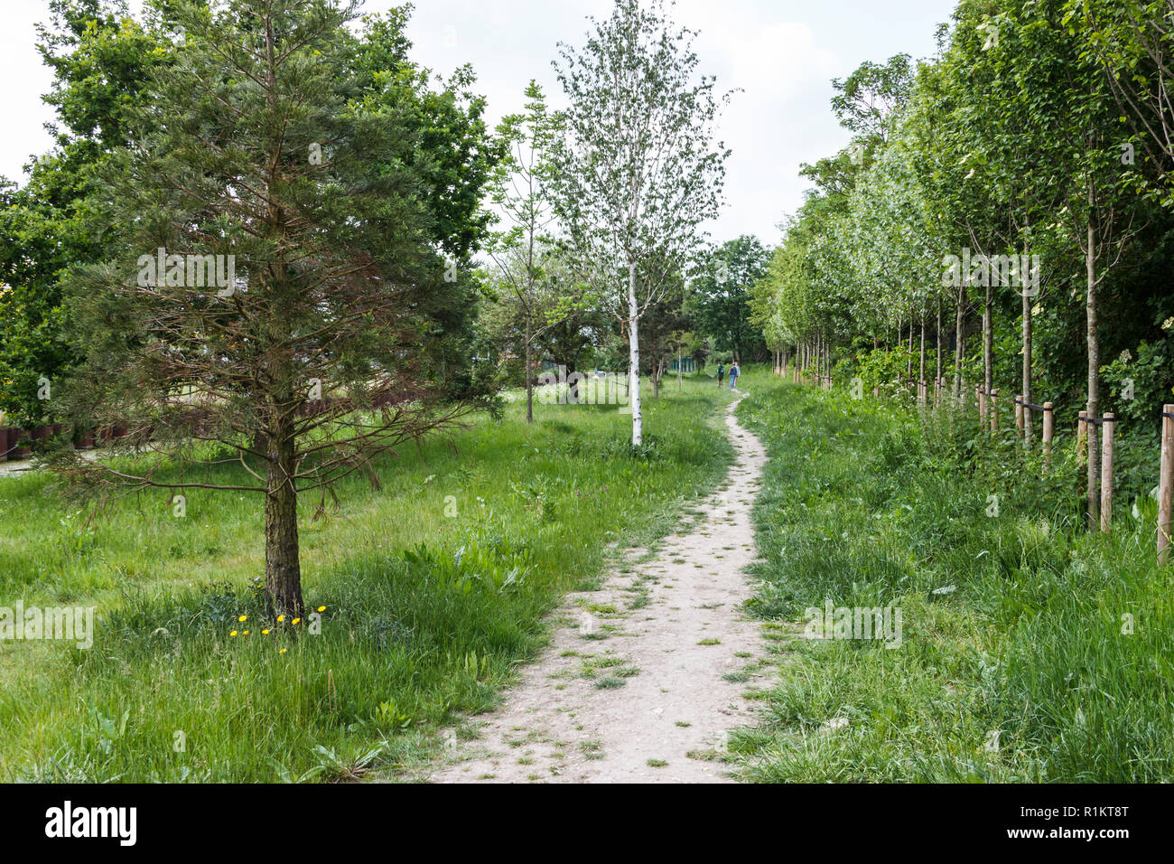 New River Path in spring, Hornsey, London, UK Stock Photo - Alamy