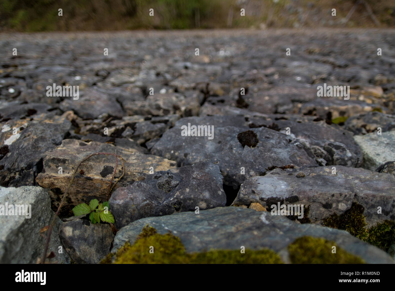 Old stone road hi-res stock photography and images - Alamy
